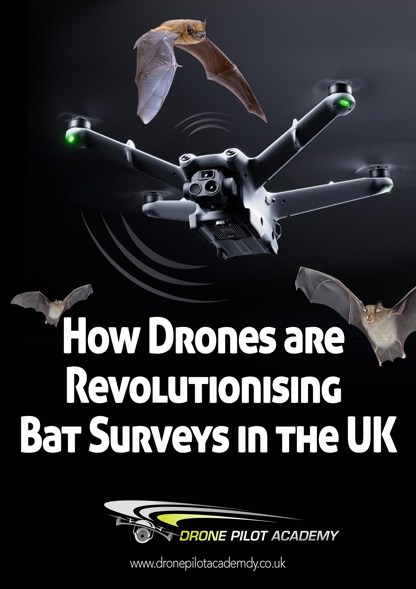 Eyes in the Sky, Ears in the Night: Drones Revolutionising Bat Surveys ...